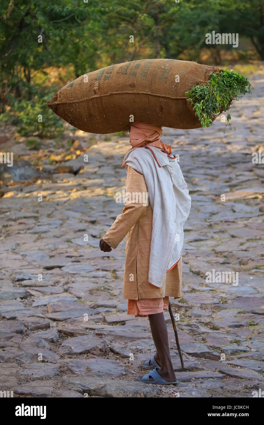 Indian man carrying sack hi-res stock photography and images - Alamy