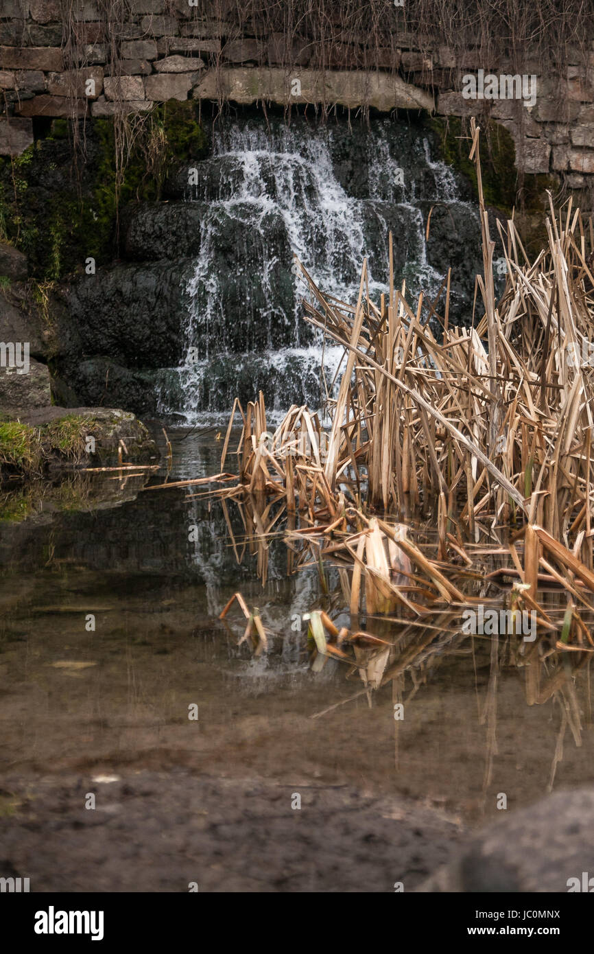 Beautiful view of waterfall in mountains falling in lake with reeds ...