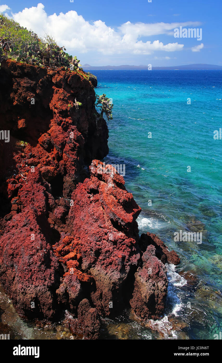 Shoreline of Rabida Island in Galapagos National Park, Ecuador Stock ...
