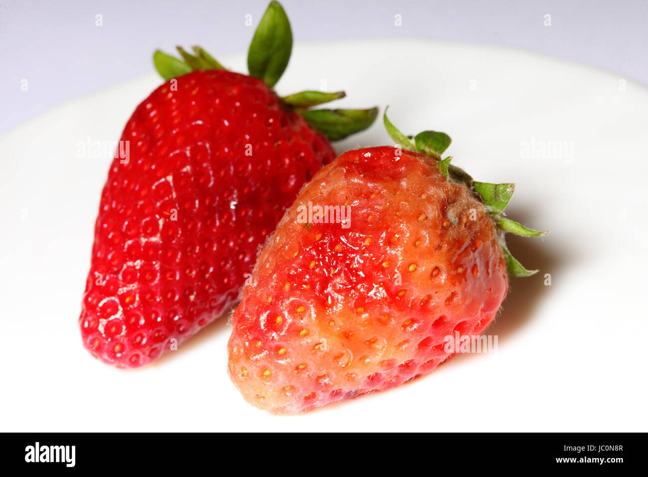 Bad Strawberries