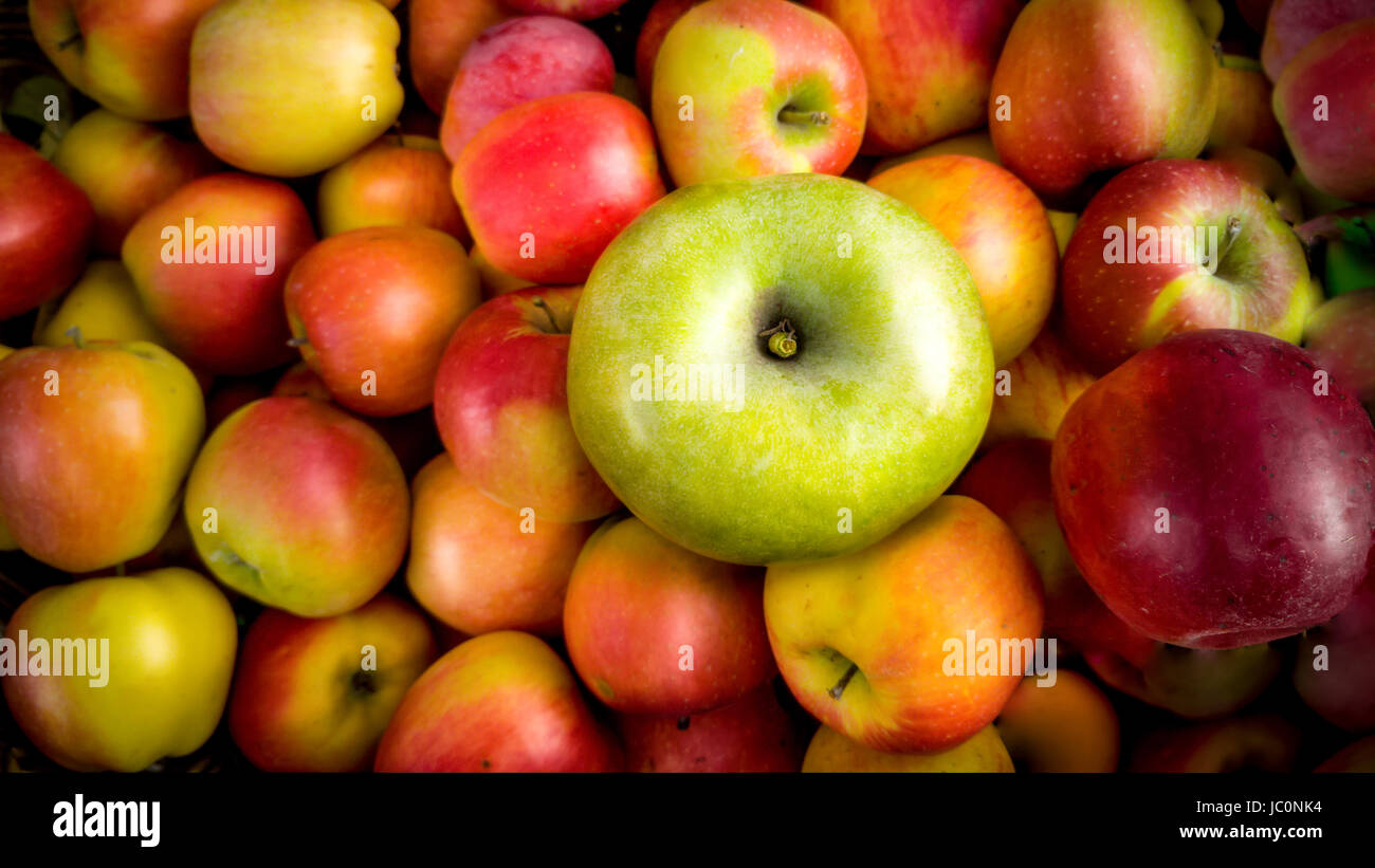 Closeup photo of one green apple lying on pile of red apples Stock ...