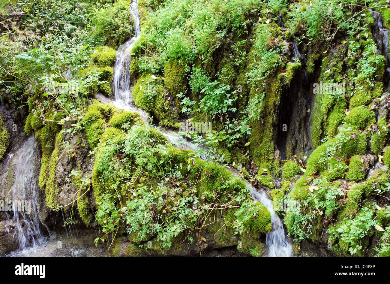 Nardis waterfall (detail) flows into lake from green mountain, Italy ...
