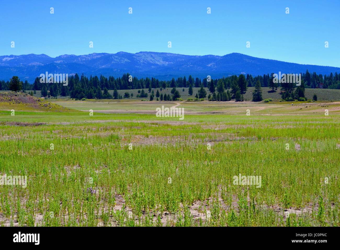 Summer in cal hi-res stock photography and images - Alamy