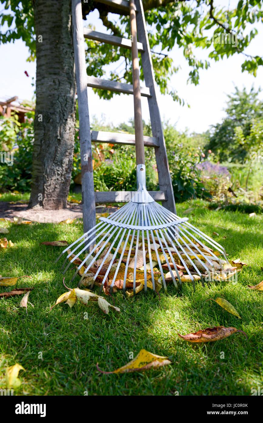 rake allotment gardens Stock Photo - Alamy
