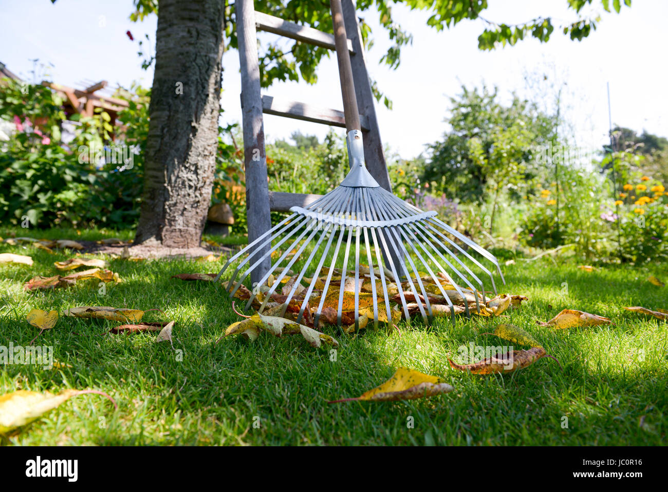 rake allotment gardens Stock Photo - Alamy