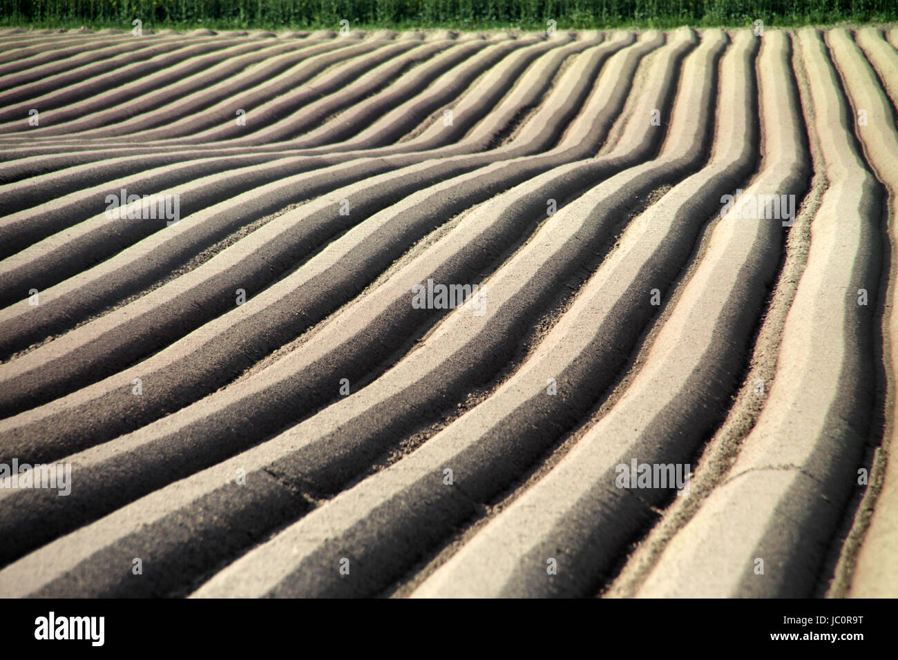Ackerboden High Resolution Stock Photography and Images - Alamy