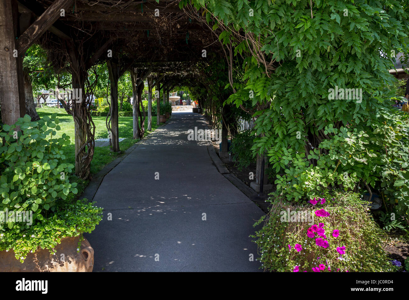 Valley pathway hi-res stock photography and images - Alamy