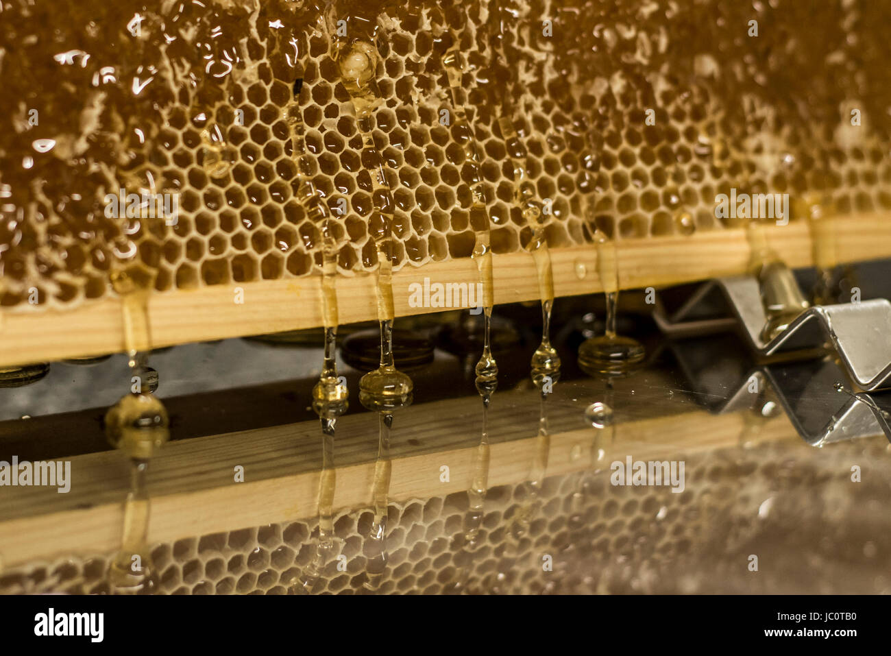 Glossy yellow golden honey comb reflection mirror sweet honey drips ...