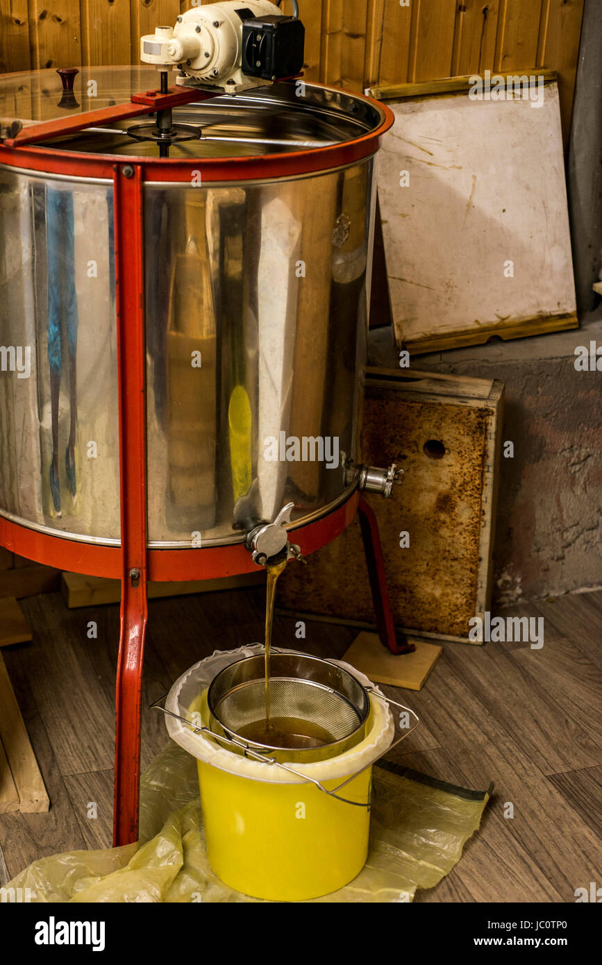 extracting honey, honey flowing out of a centrifuge into a sieve ...