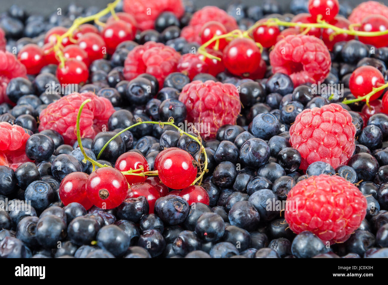 Background made of blueberries, raspberries and red currant Stock Photo ...