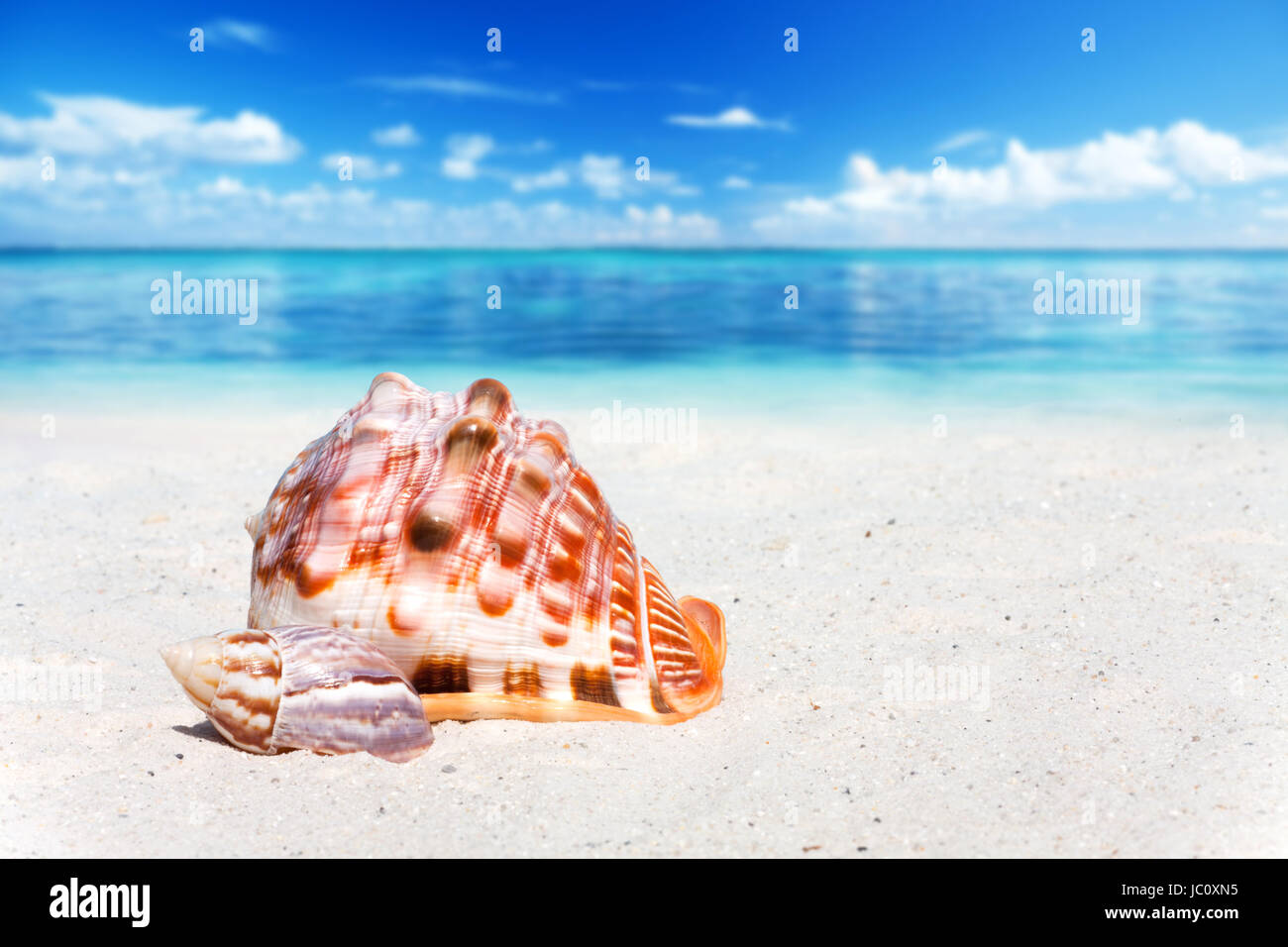 Mit dem meer im hintergrund hi-res stock photography and images - Alamy