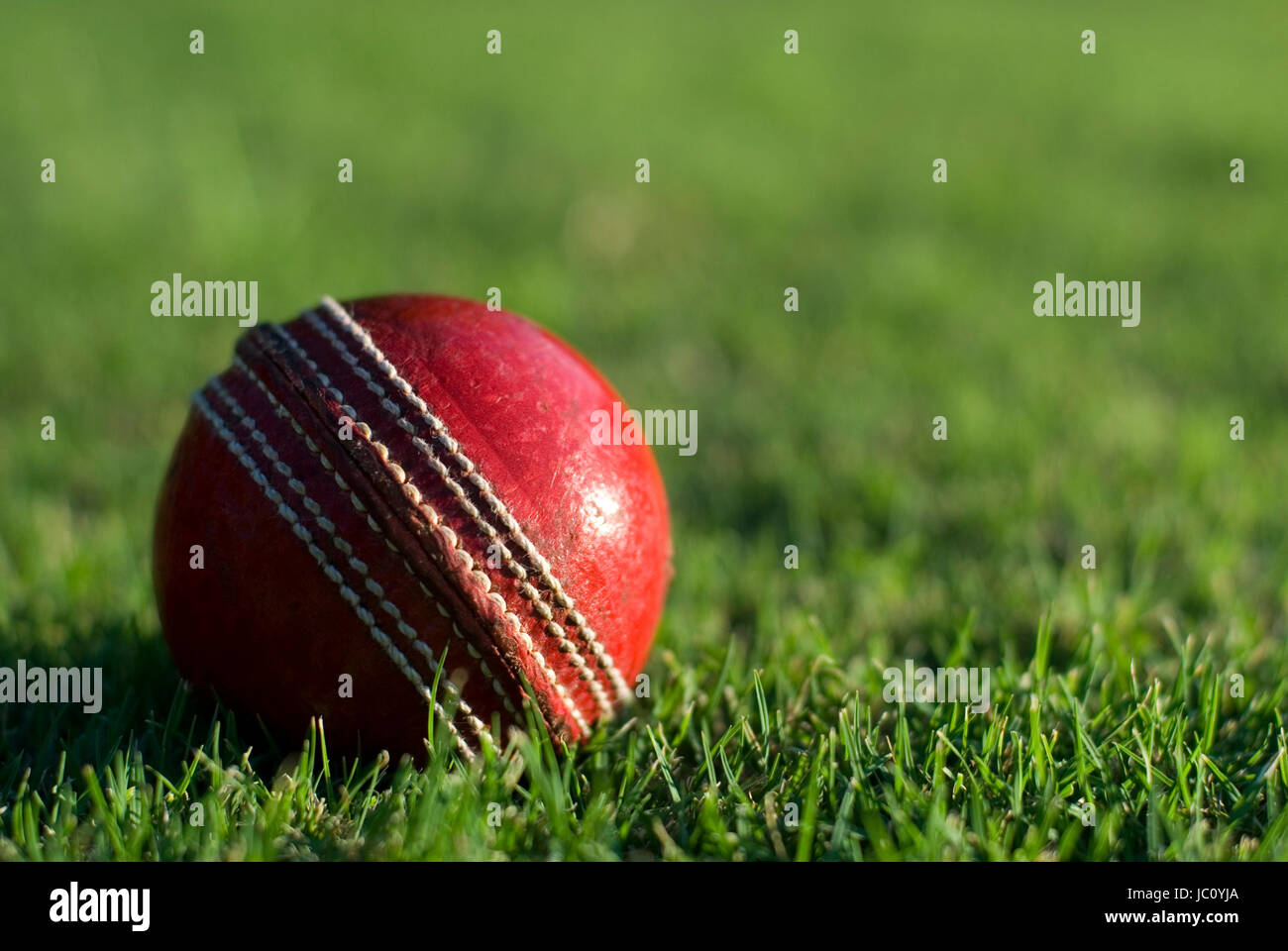Close up of a side lit red cricket ball on the green grass of a sports ...