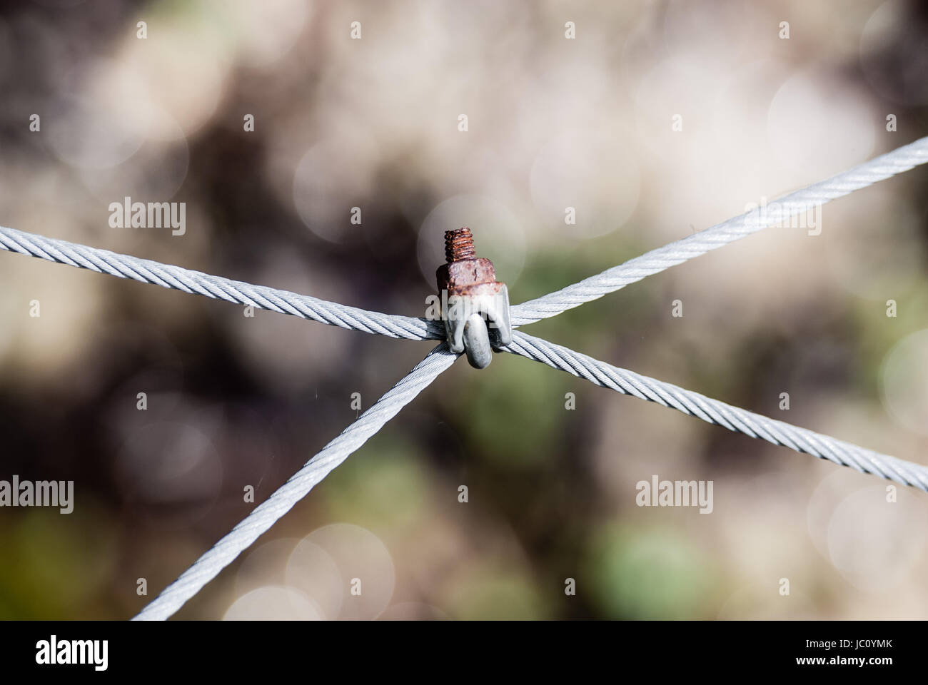Single rusted screw joint holding four metal wires together against ...