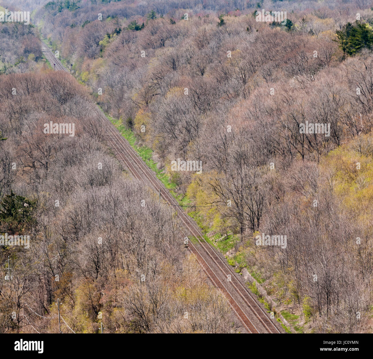 Pair of straight train tracks cutting through forest in spring Stock ...