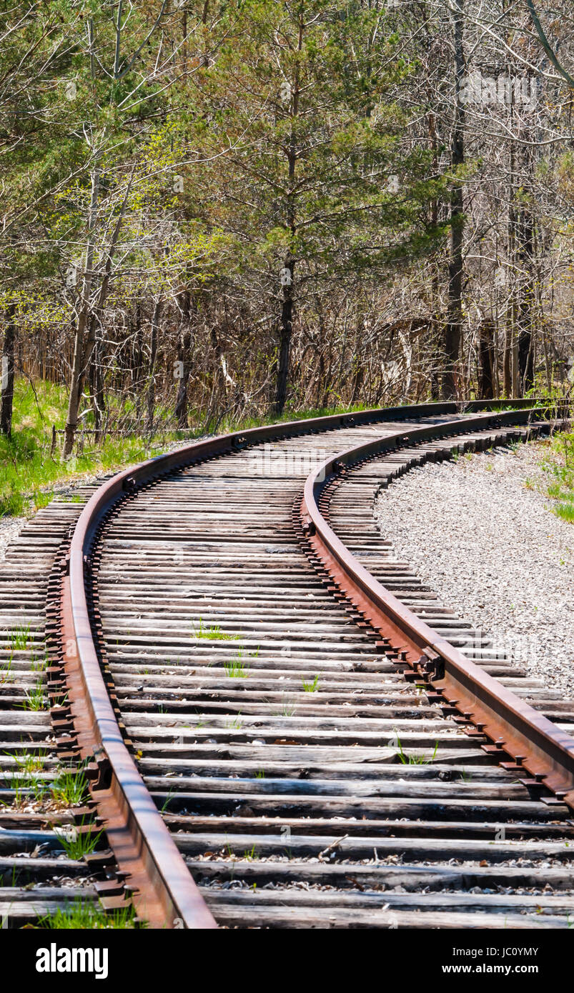 Train tracks curving right into trees Stock Photo - Alamy