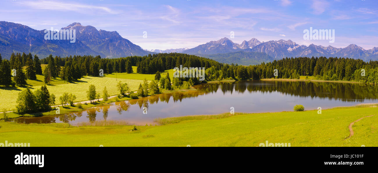 Blumenwiese panorama wald hi-res stock photography and images - Alamy