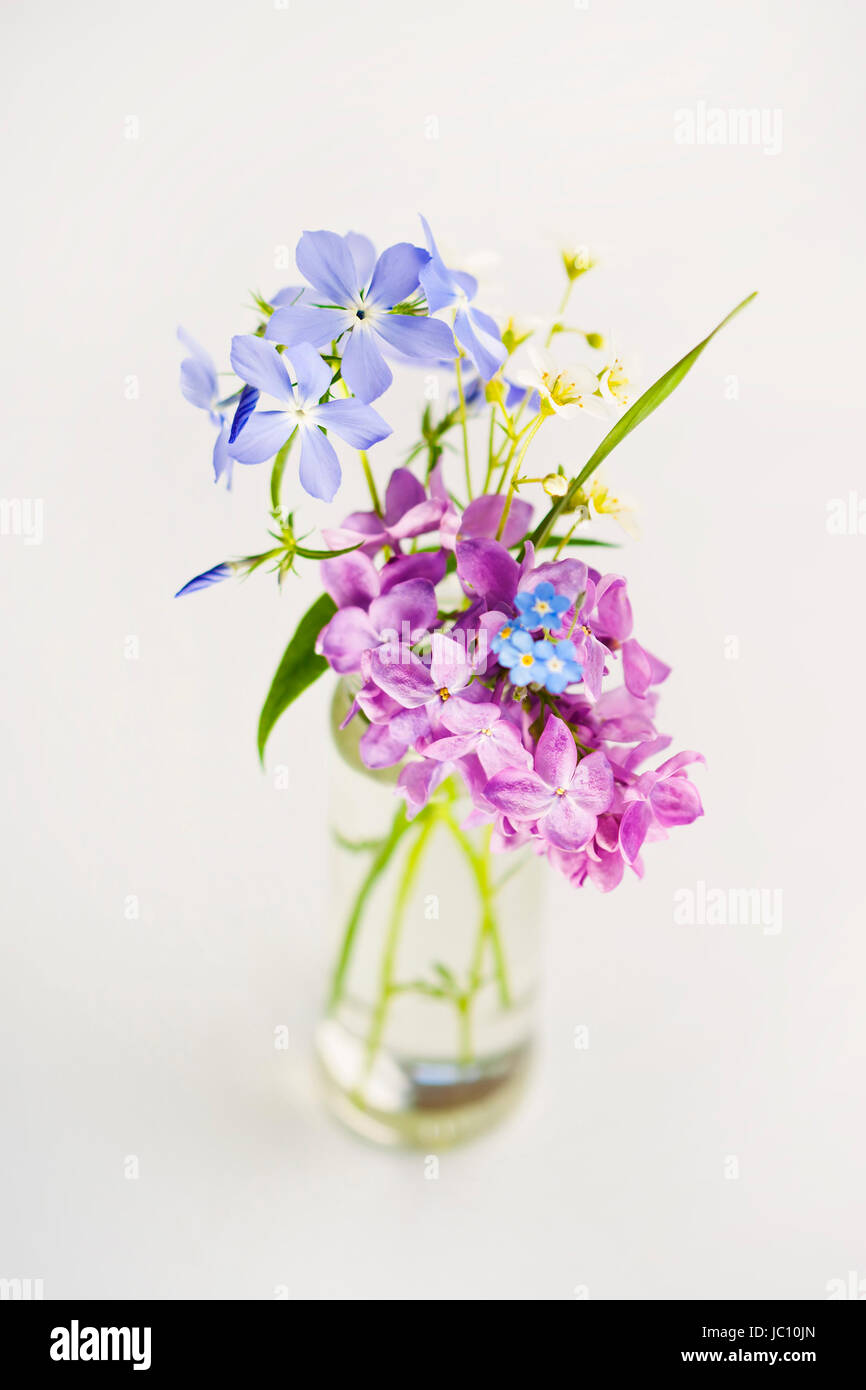 Beautiful spring flowers in a vase on white background Stock Photo - Alamy