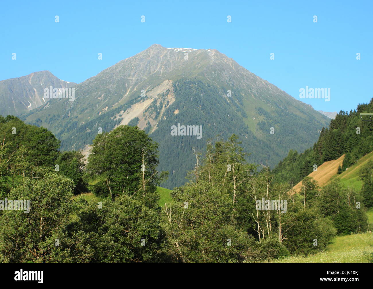 View on mountain and forest in the Alpes Stock Photo - Alamy