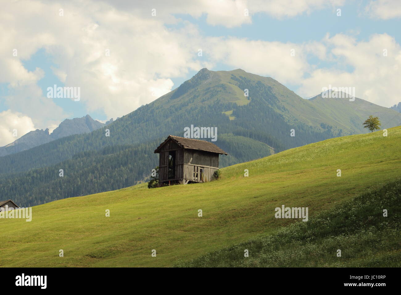 Single shelter in hay field in the Alps Stock Photo - Alamy