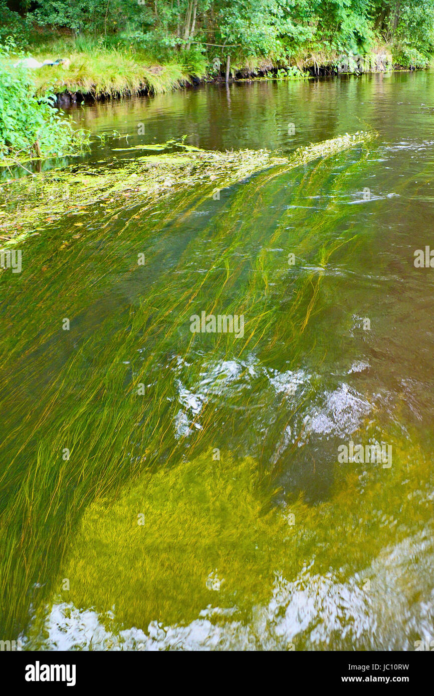 Bank of stream hi-res stock photography and images - Alamy