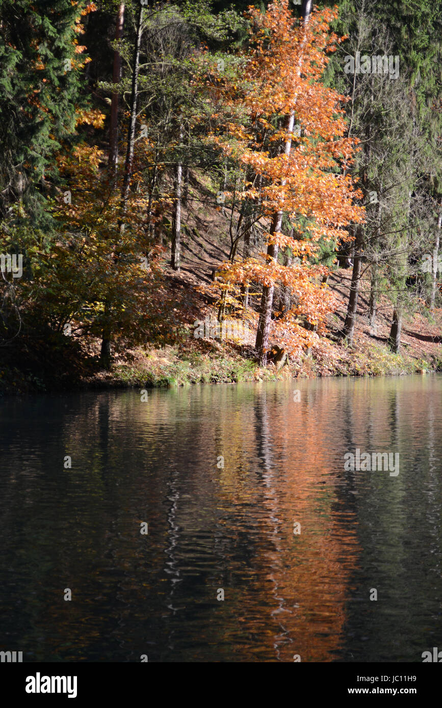 Amselsee, Herbst, rathen, kurort rathen, see, stausee, teich, weiher ...