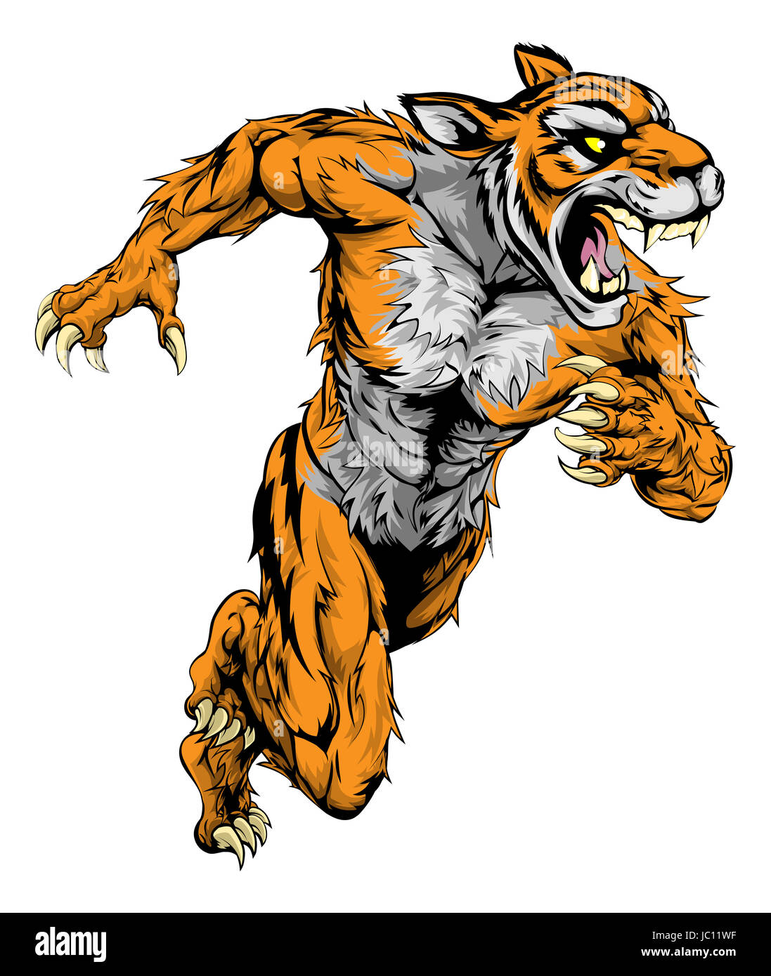 Cartoon head of a tiger hi-res stock photography and images - Alamy