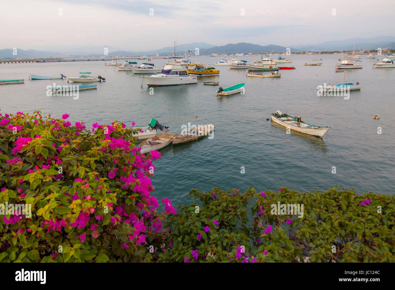 Manzanillo Colima High Resolution Stock Photography and Images - Alamy
