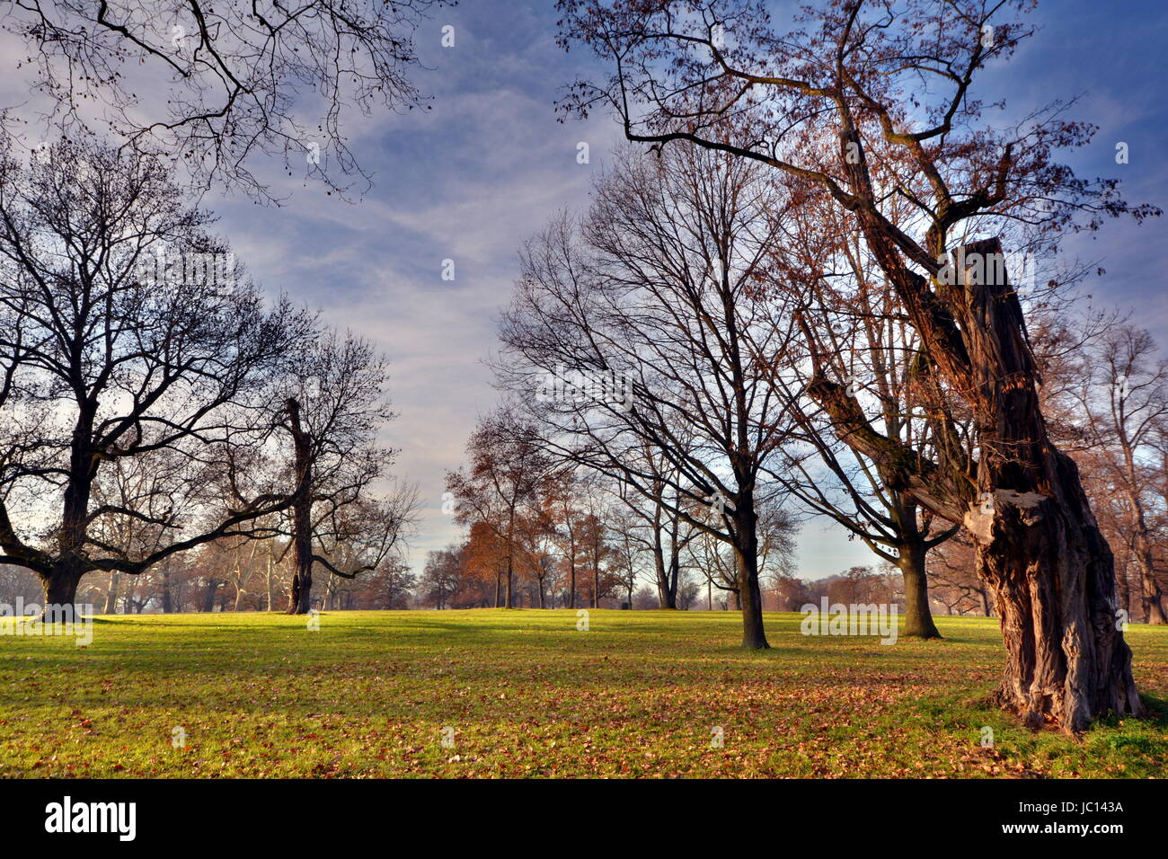 leisure time tree Stock Photo - Alamy