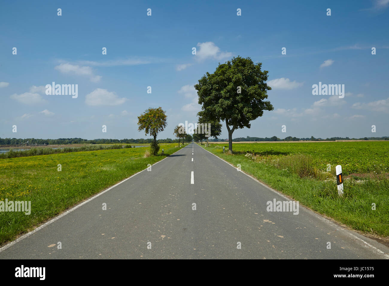 A landscape with a straight road, trees and grassland taken by fine ...