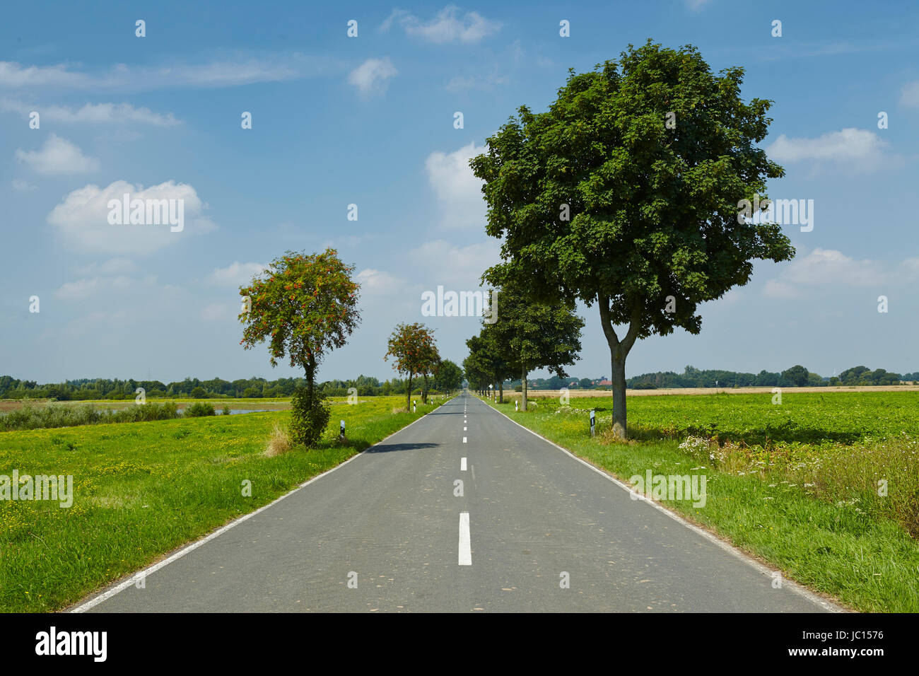 A landscape with a straight road, trees and grassland taken by fine ...