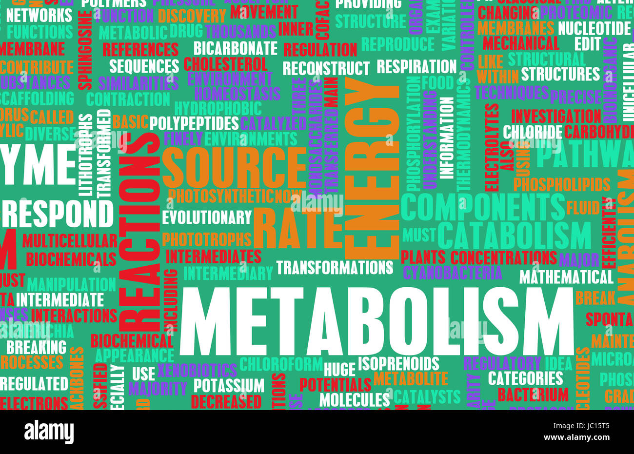 Metabolism as a Medical Health Exercise Concept Stock Photo - Alamy