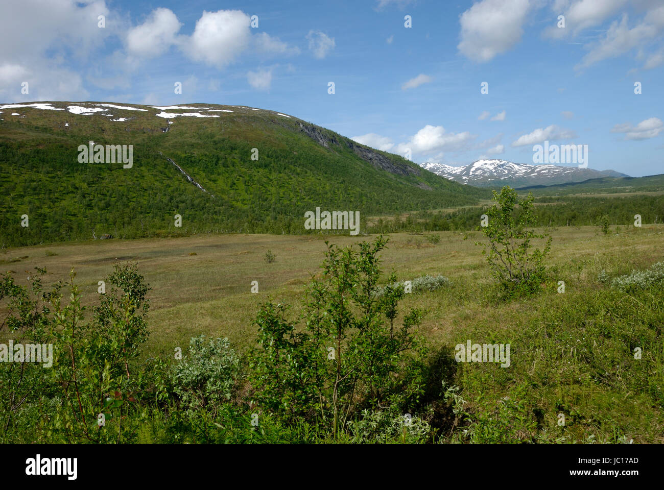 Landschaft im Zentrum von Senja, Troms, Norwegen Stock Photo - Alamy