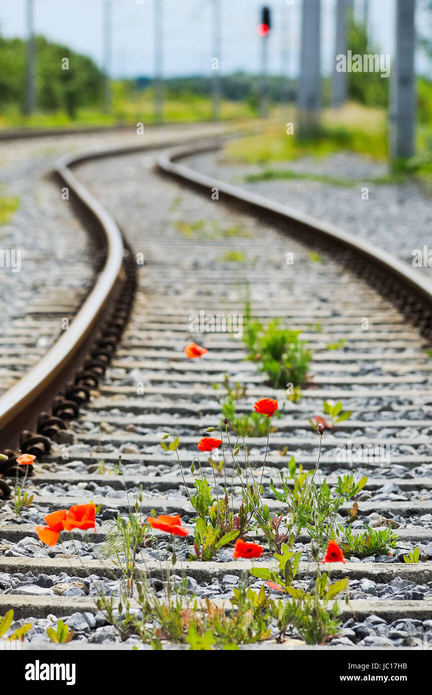 Rail screw hi-res stock photography and images - Alamy
