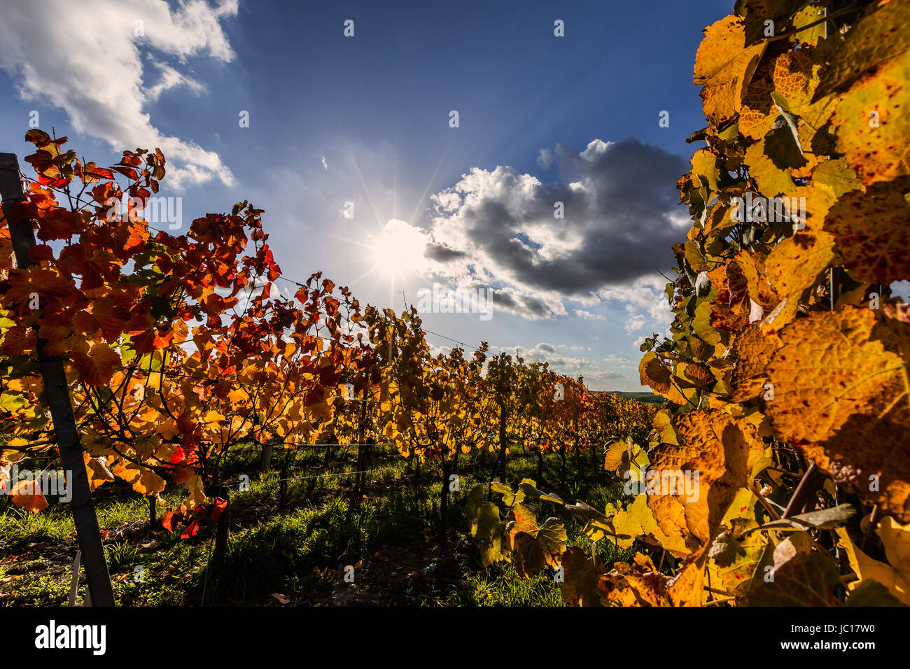 celestial body sun Stock Photo - Alamy