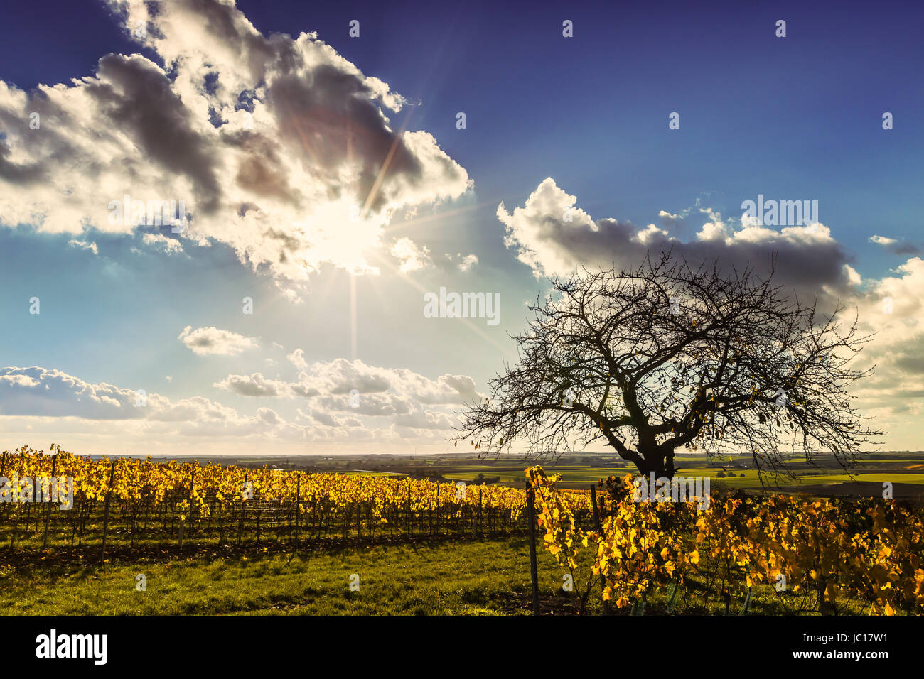 celestial body sun Stock Photo - Alamy