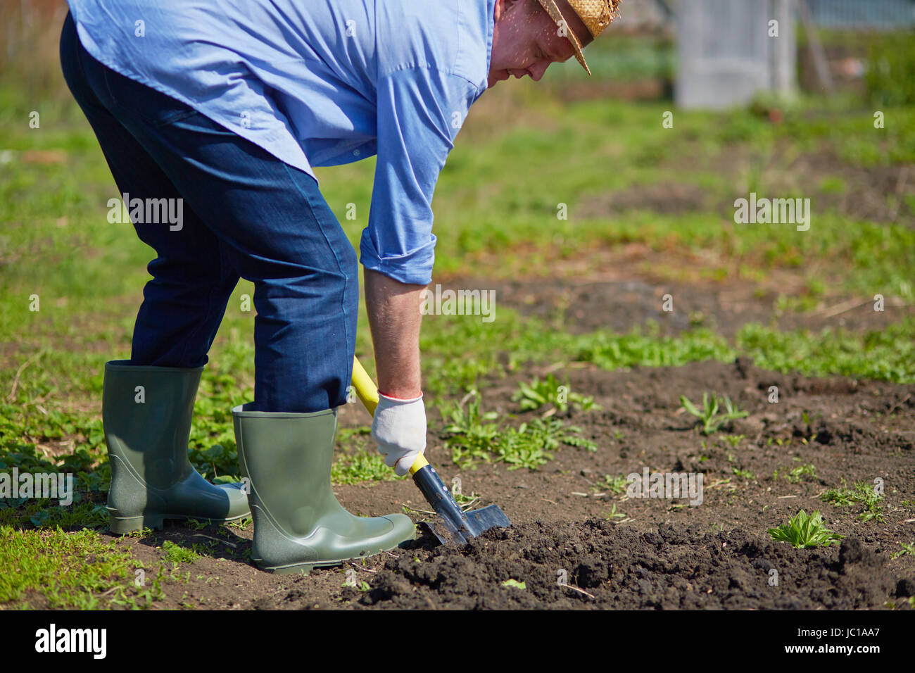 Image of male farmer digging in the garden Stock Photo - Alamy