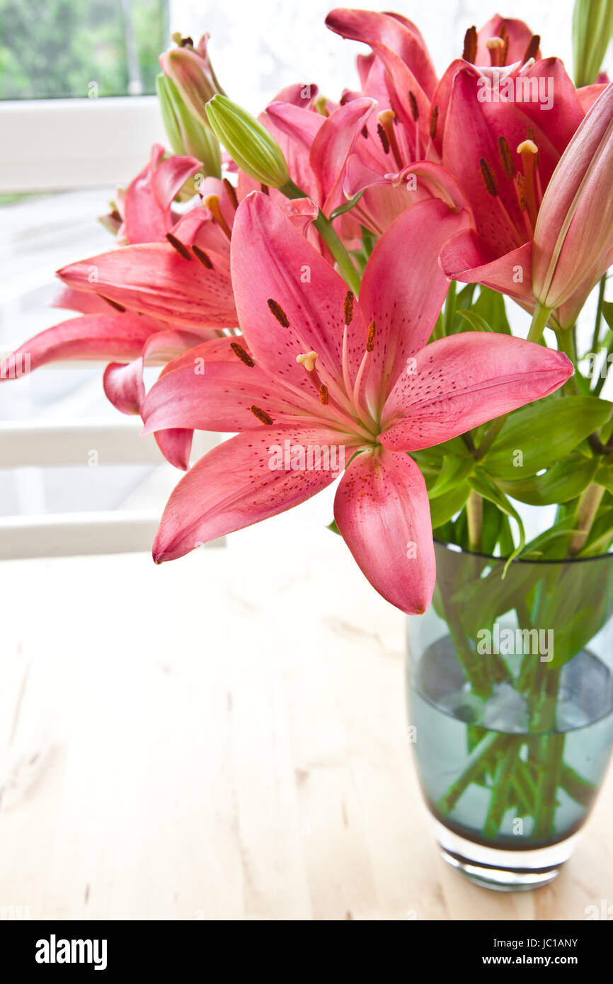 Frische pinke Lilien in Vase Stock Photo - Alamy