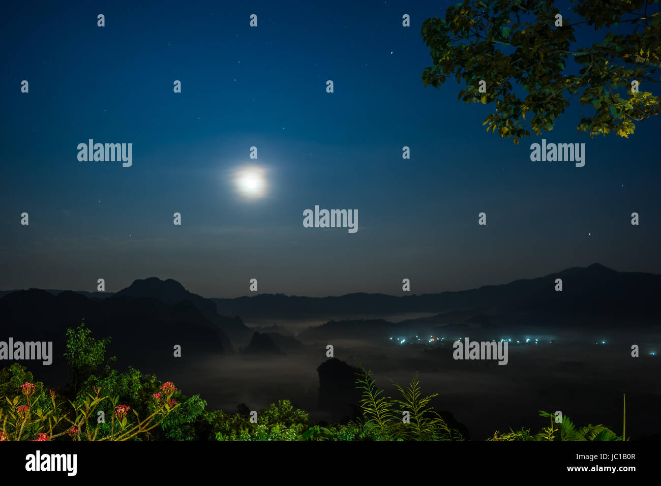 Midnight fog hi-res stock photography and images - Alamy
