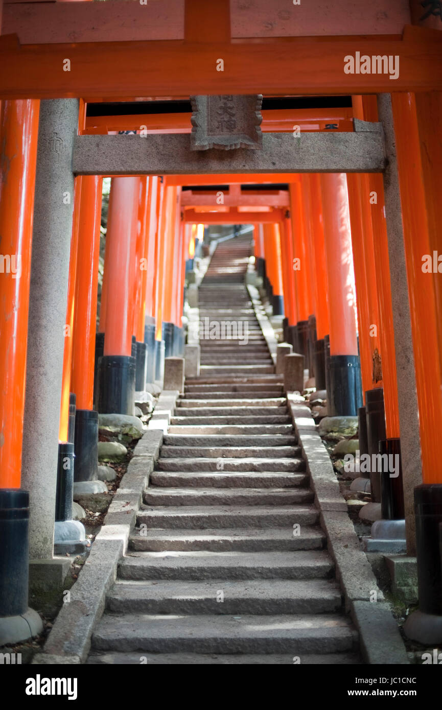 Torii gates forming a tunnel over a hillside walkway donated as votive ...