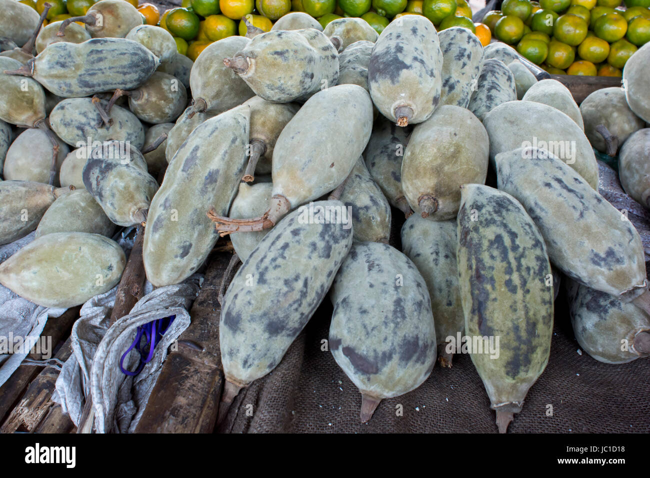 Baobab seeds hi-res stock photography and images - Alamy