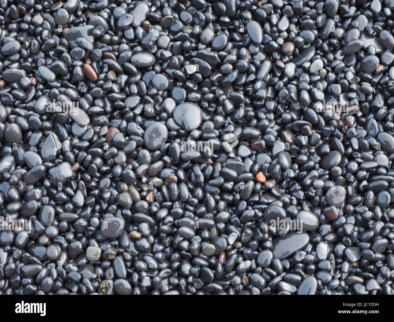 background of wet basalt pebbles from Vik shore, Iceland Stock Photo ...