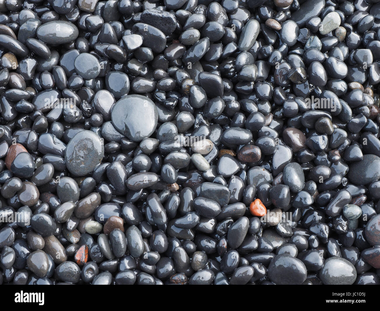 background of wet basalt pebbles from Vik shore, Iceland Stock Photo ...