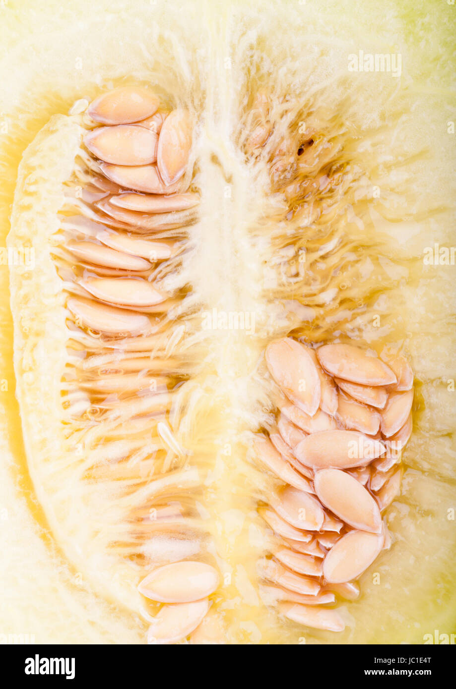 Galiamelone Stock Photos & Galiamelone Stock Images - Alamy