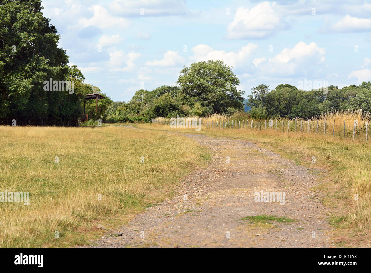 Wide open pathway with trees hi-res stock photography and images - Alamy