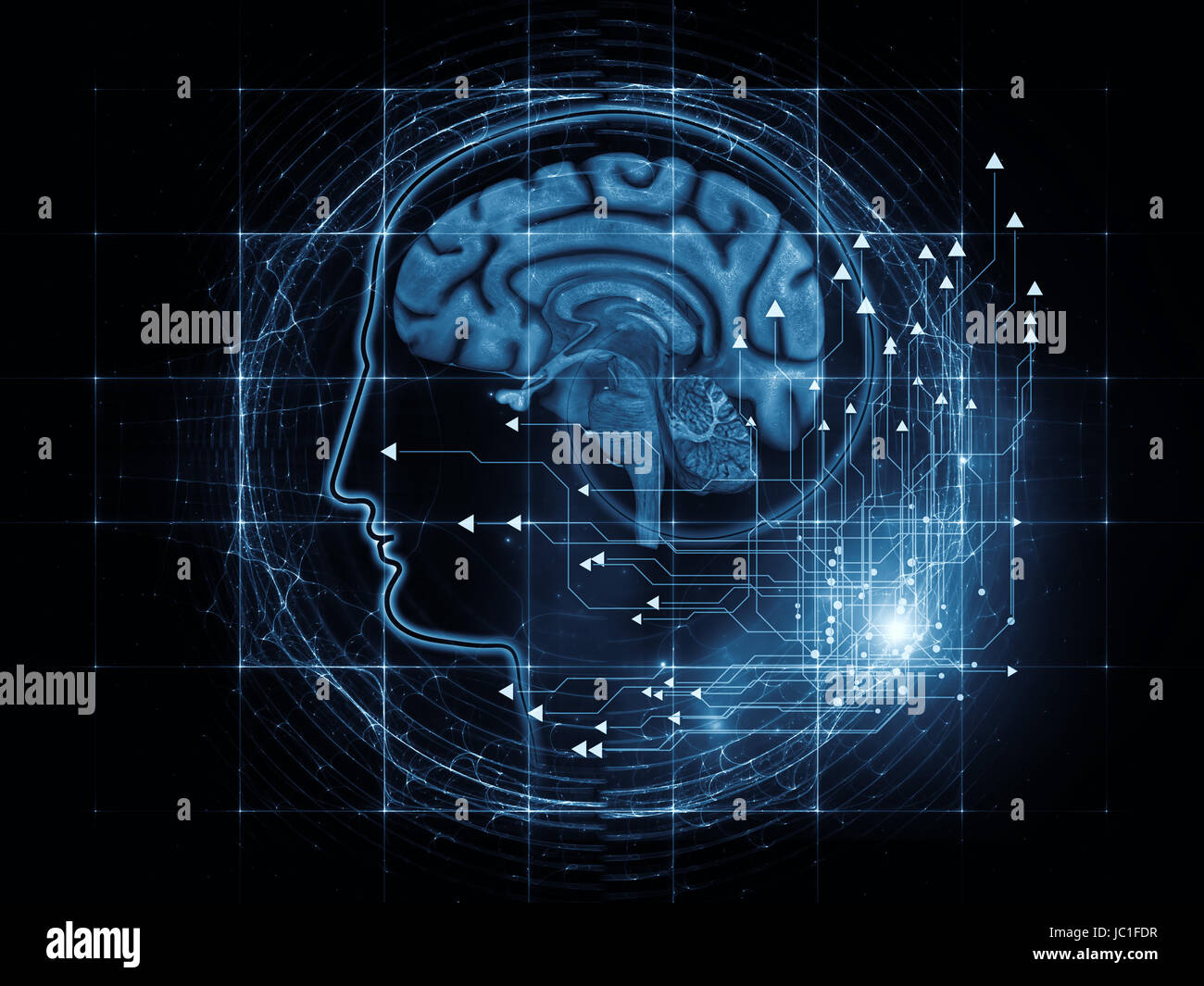 Human Mind series. Graphic composition of brain, human outlines and ...