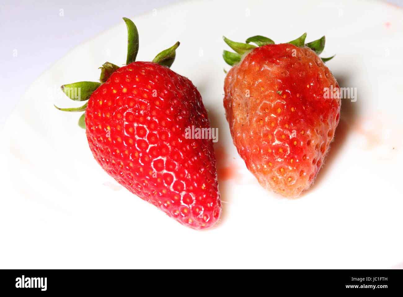 Decay rotting mouldy strawberries hi-res stock photography and images ...