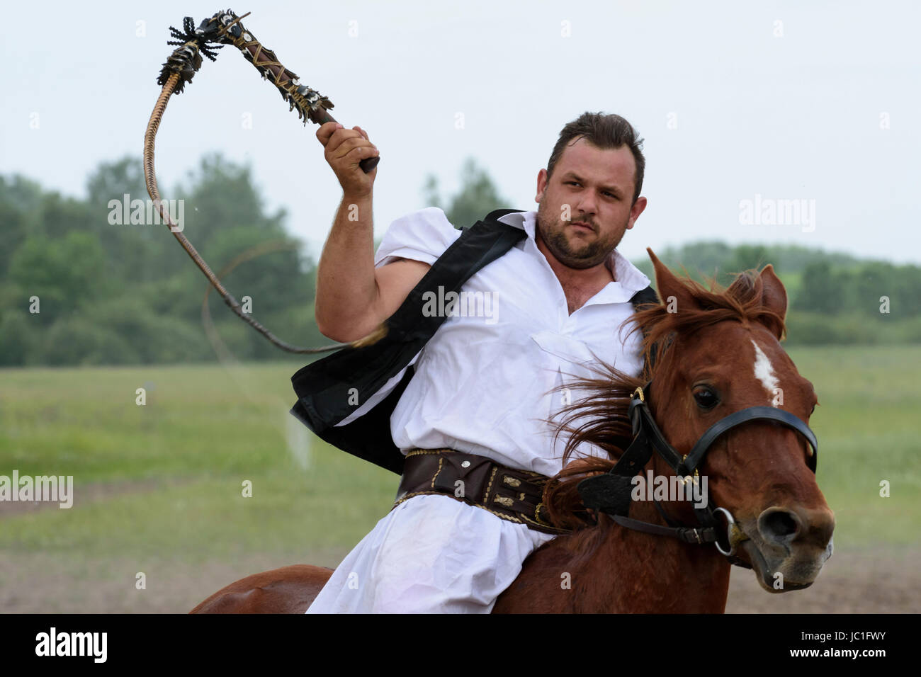 Horse show on Bugac Puszta,in Kiskunsag National Park. Hungary Stock ...