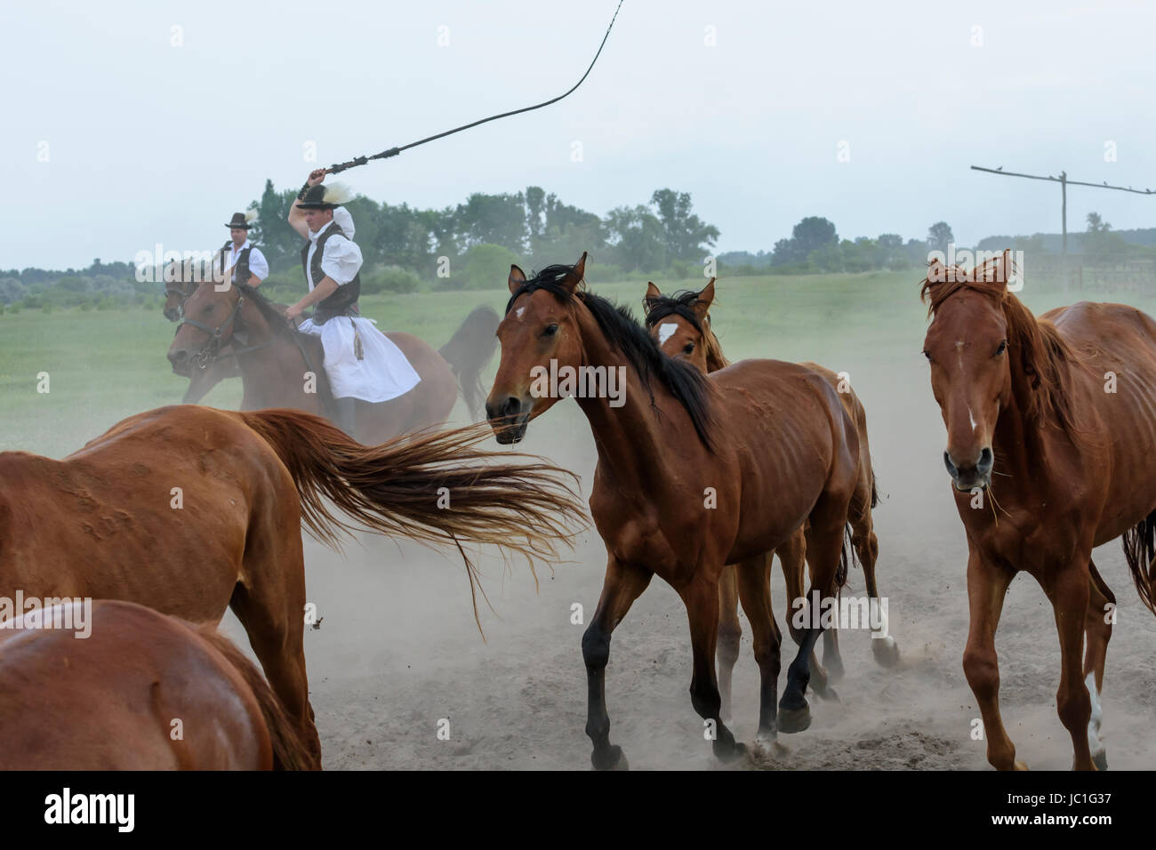 Horse show on Bugac Puszta,in Kiskunsag National Park. Hungary Stock ...