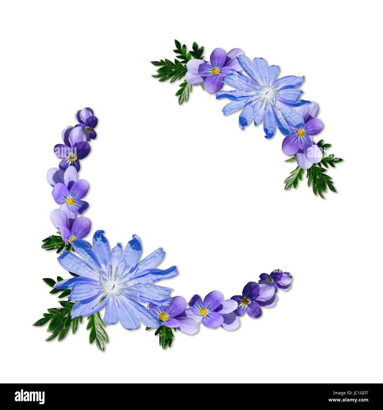 circle frame made of blue wild flowers Stock Photo - Alamy