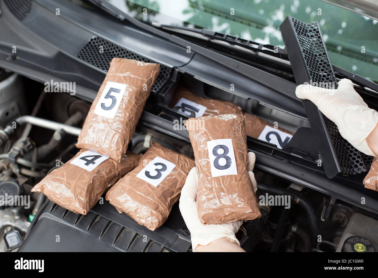 Vehicle hides hi-res stock photography and images - Alamy